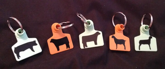 Custom Stock show Animal Ear Tag Key Chains – 3sassygirls